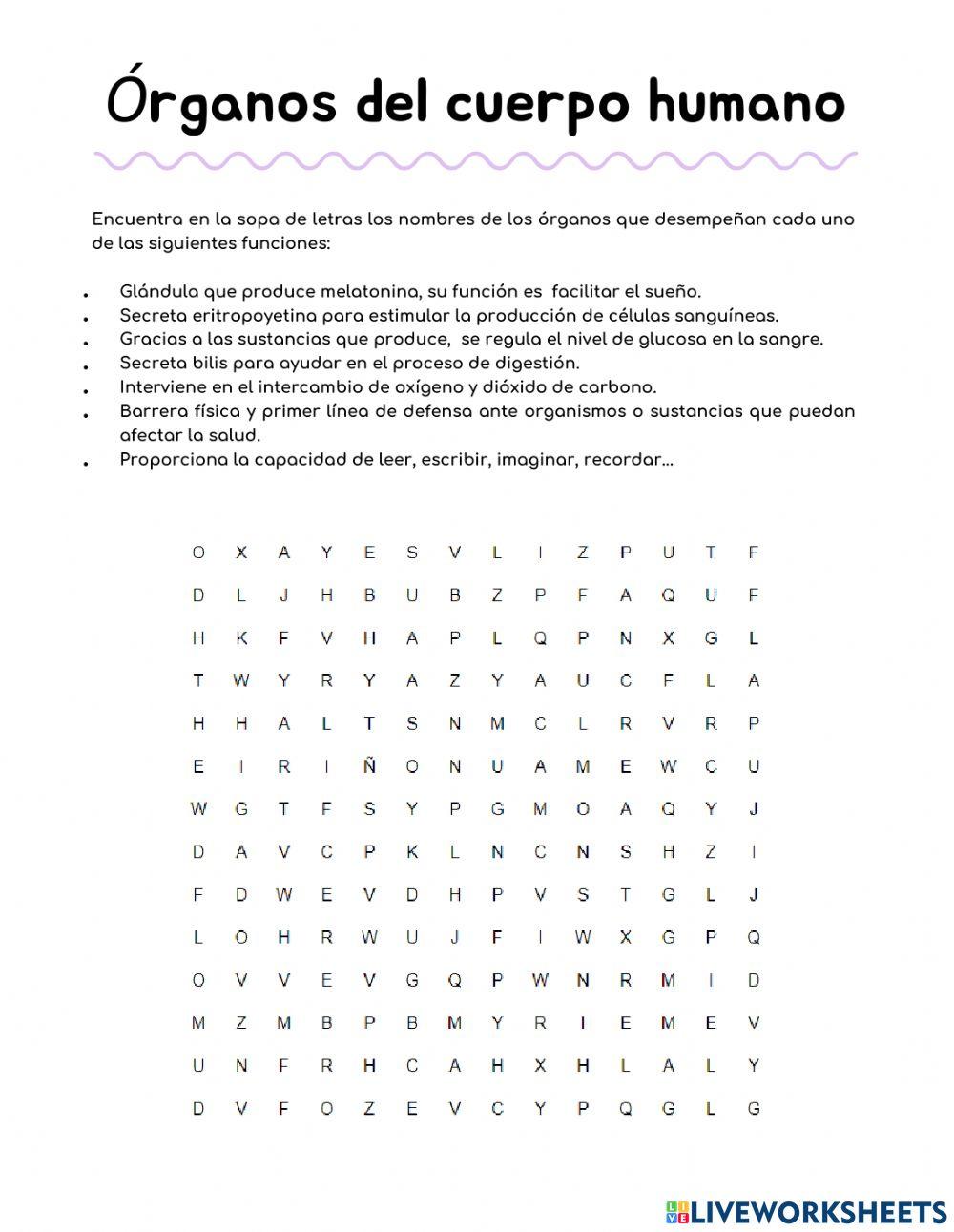 Órganos del cuerpo humano online worksheet | Live Worksheets