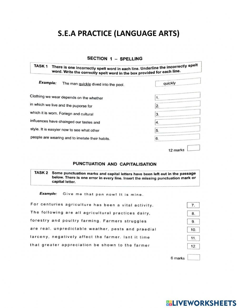 S.E.A. ELA Practice activity | Live Worksheets