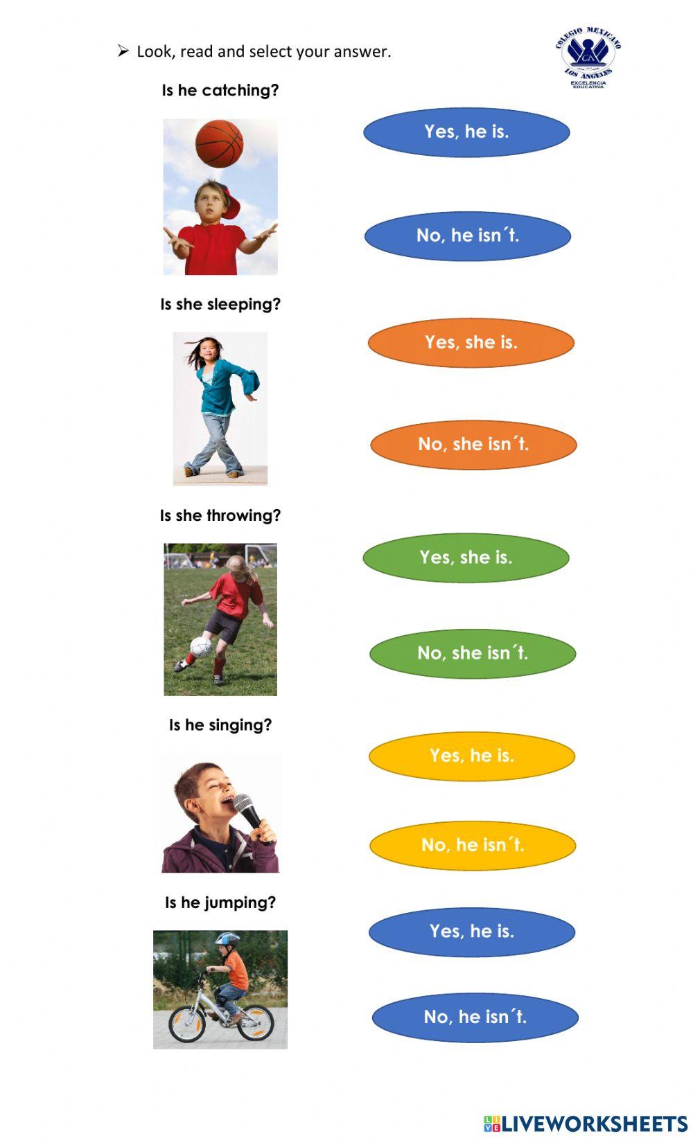 What is he-she … | Free Interactive Worksheets | 1041189