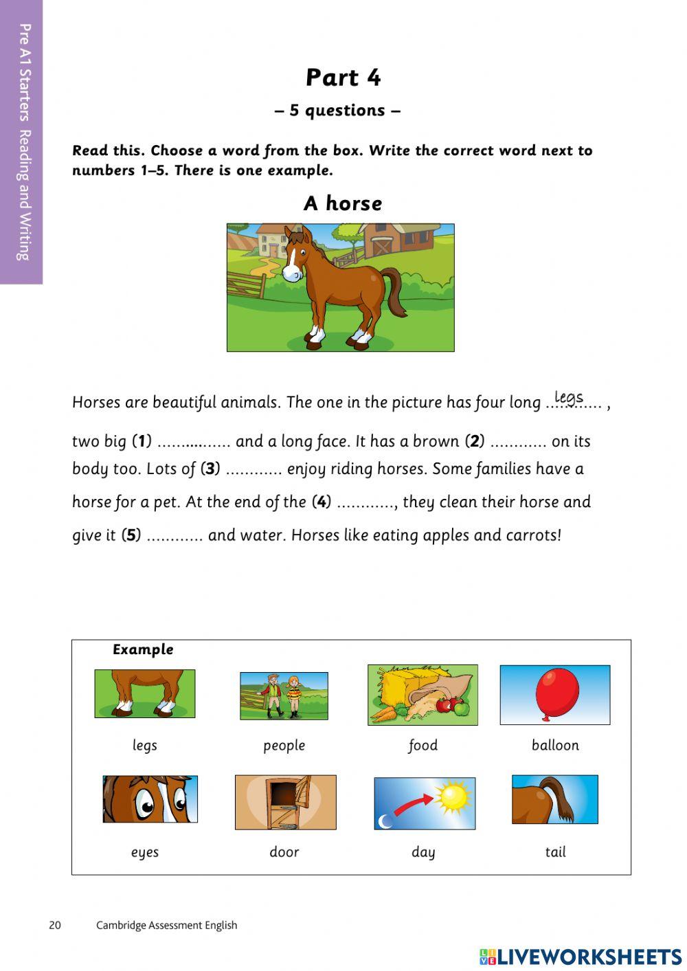 4th Grade Cambridge Starters Test 1 Reading and Writing