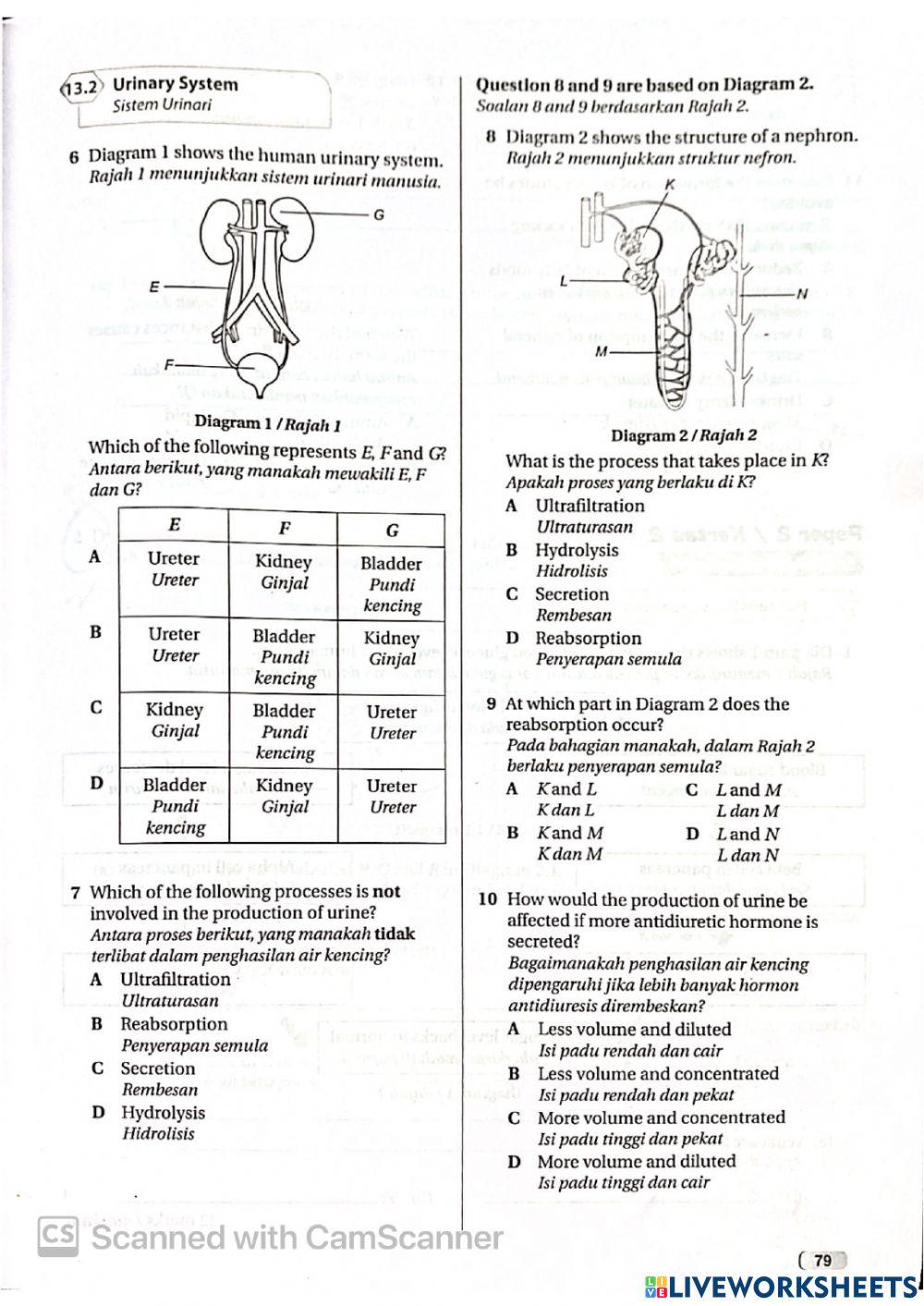 F4 Bio Chapter 13 online exercise for | Live Worksheets