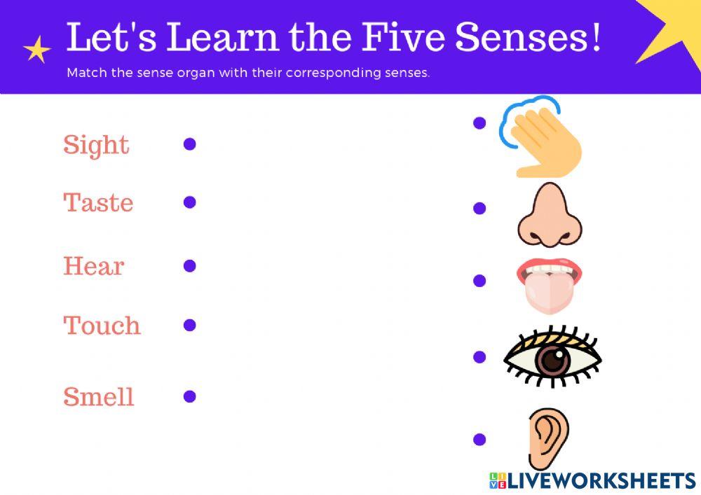 Sense organs online pdf activity | Live Worksheets