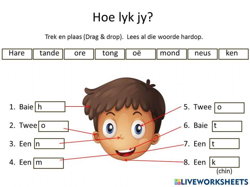 Dele van gesig | Free Interactive Worksheets | 1043875