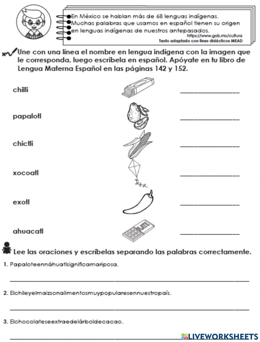 Lenguas de México 2 worksheet | Live Worksheets