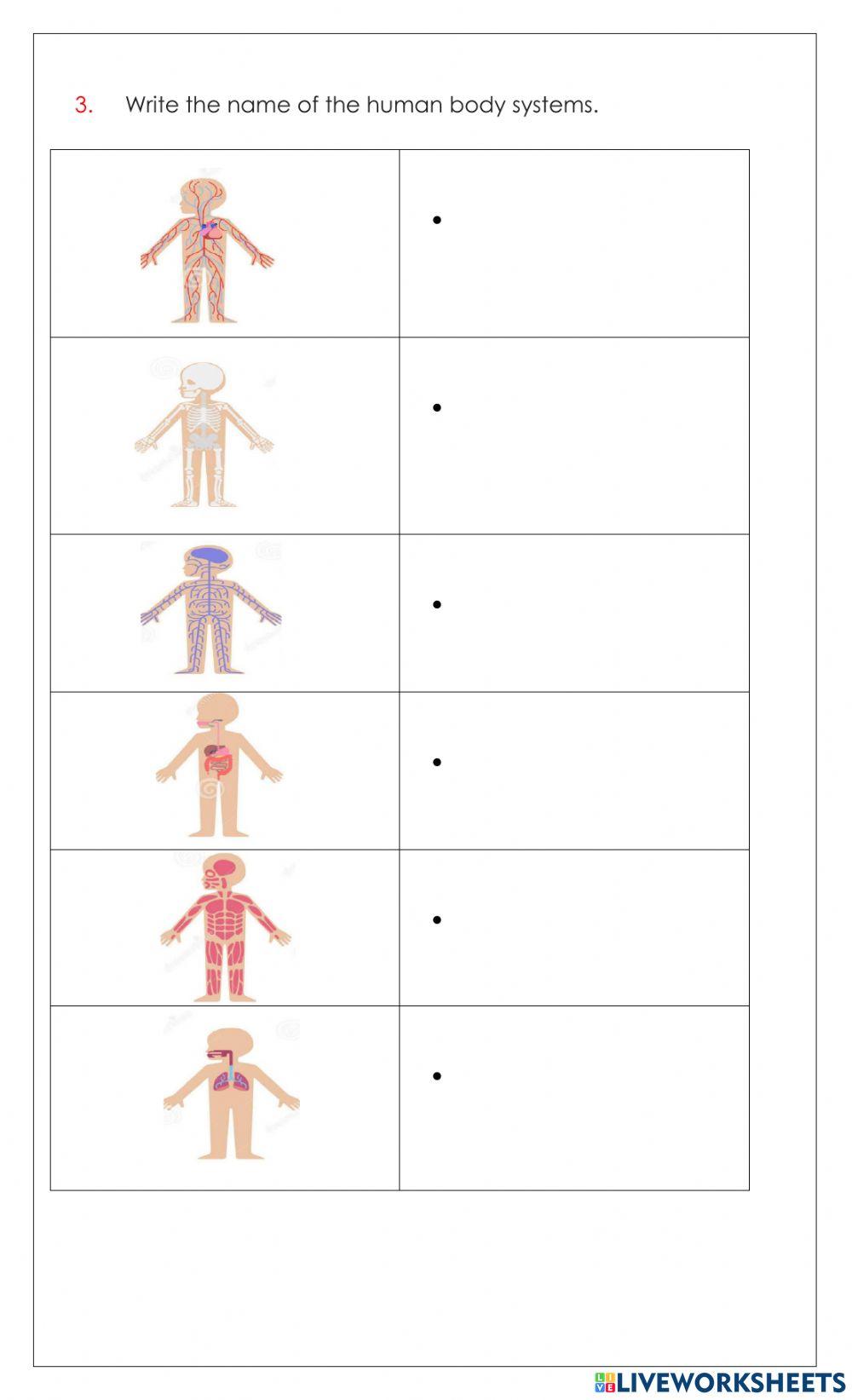 SCIENCE TEST SECOND TERM online exercise for | Live Worksheets