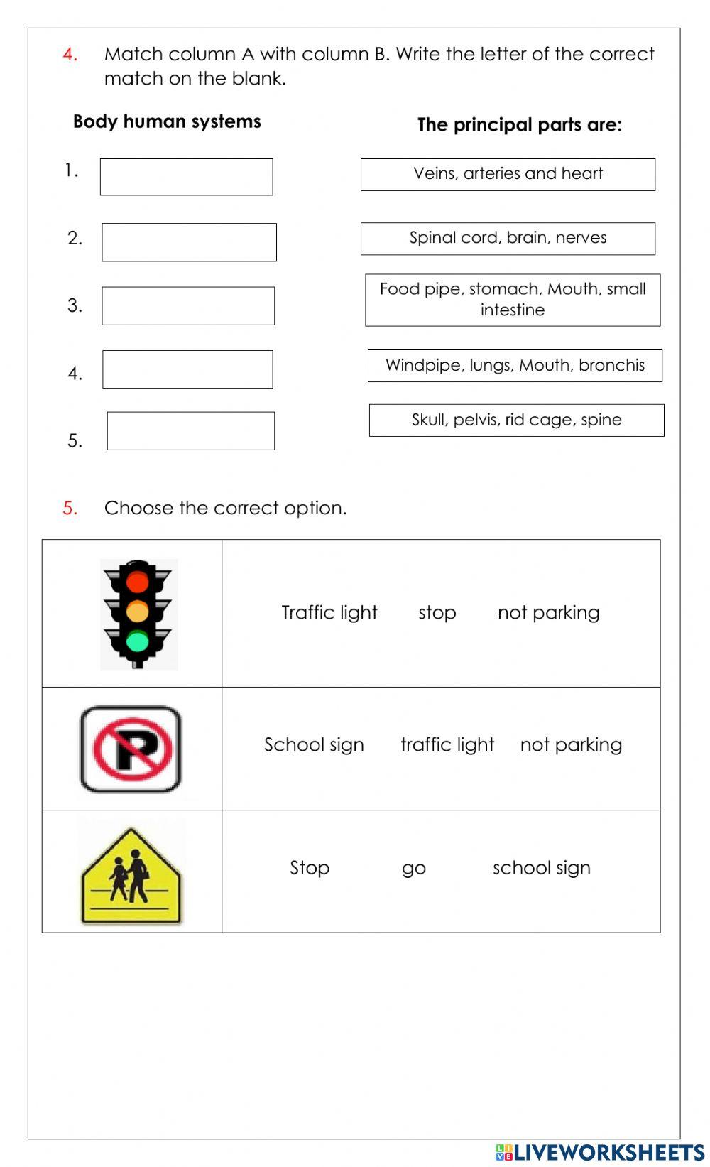 SCIENCE TEST SECOND TERM online exercise for | Live Worksheets