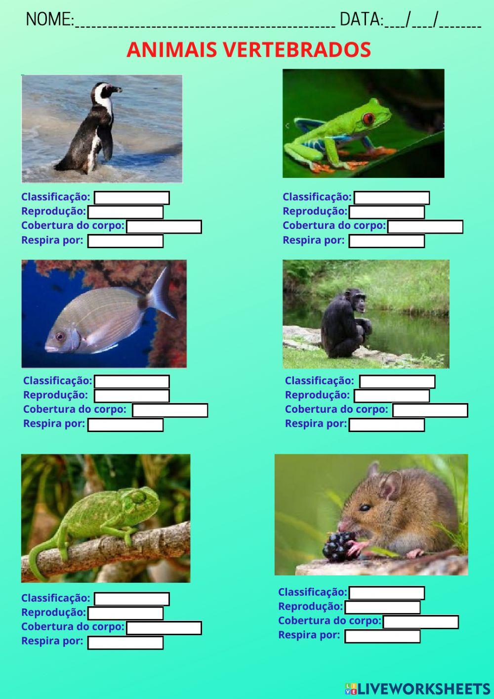 Animais vertebrados worksheet for 3º ANO | Live Worksheets