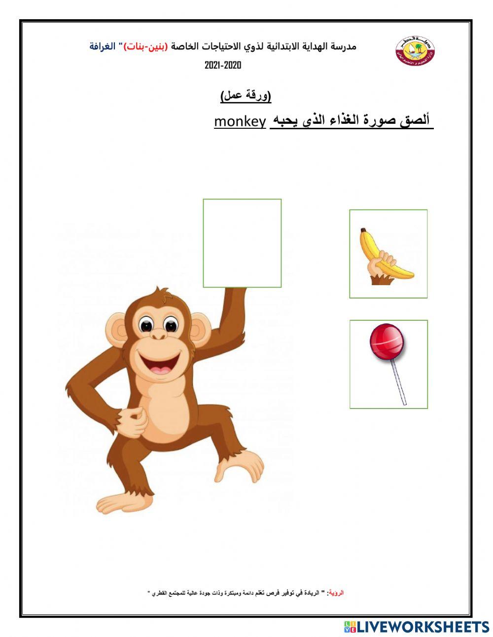 Monkey worksheet | Live Worksheets