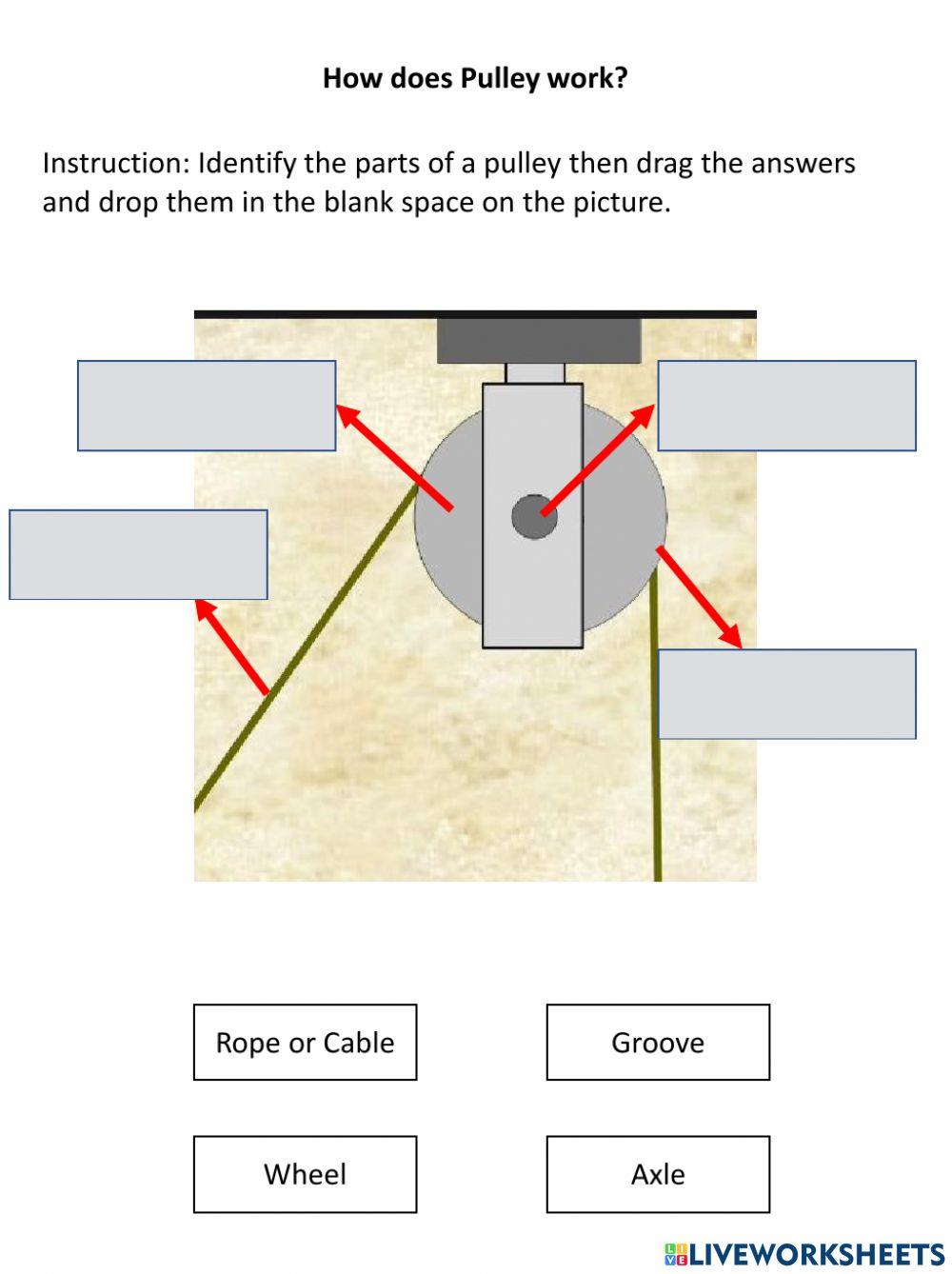 Live worksheet 3.5 How Does Pulley work? 2997957
