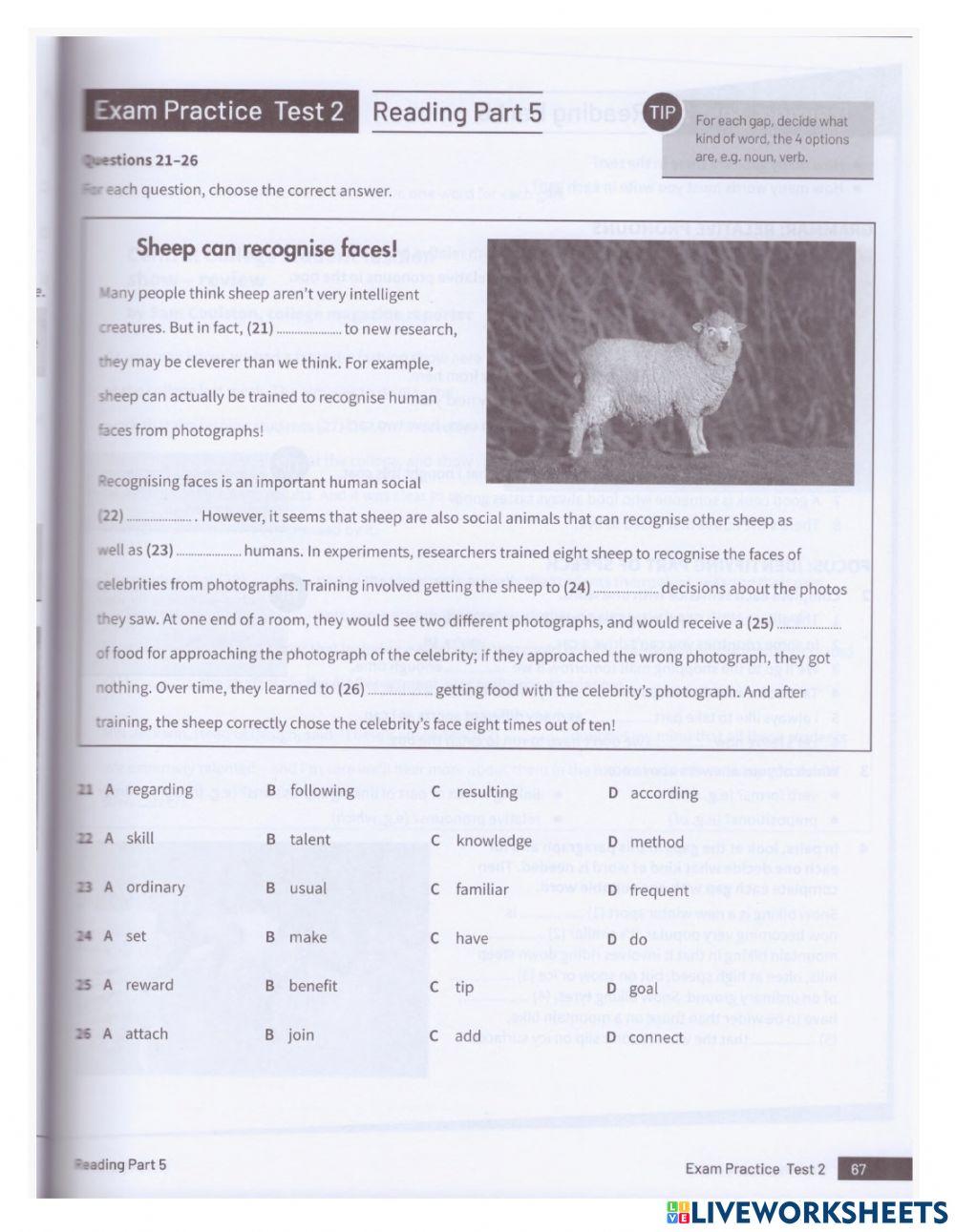 B1 Preliminary Reading Part 5 Test 2 online exercise for | Live Worksheets