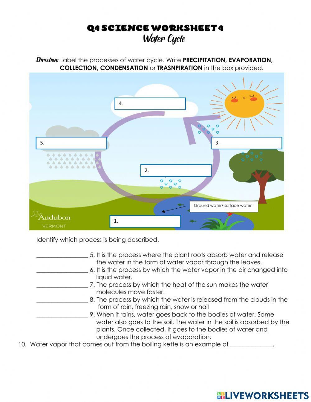 Water Cycle 4th Grade Worksheet Water Cycle 4th Grade Worksheet