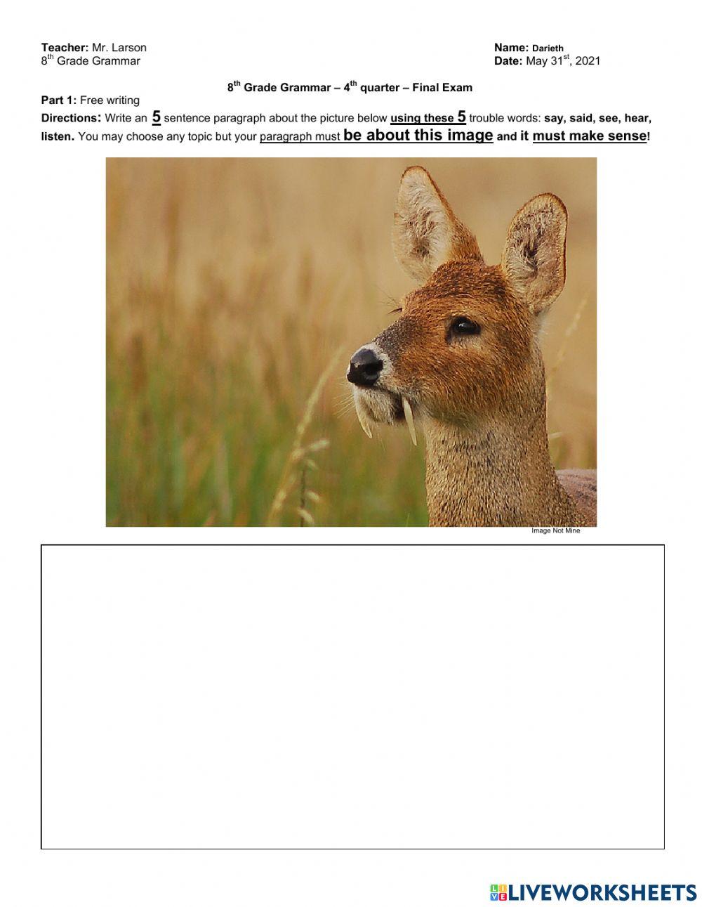 8th Grade Grammar Final exercise | Live Worksheets