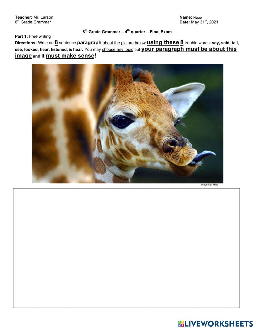 8th Grade Grammar Final worksheet for 8 | Live Worksheets