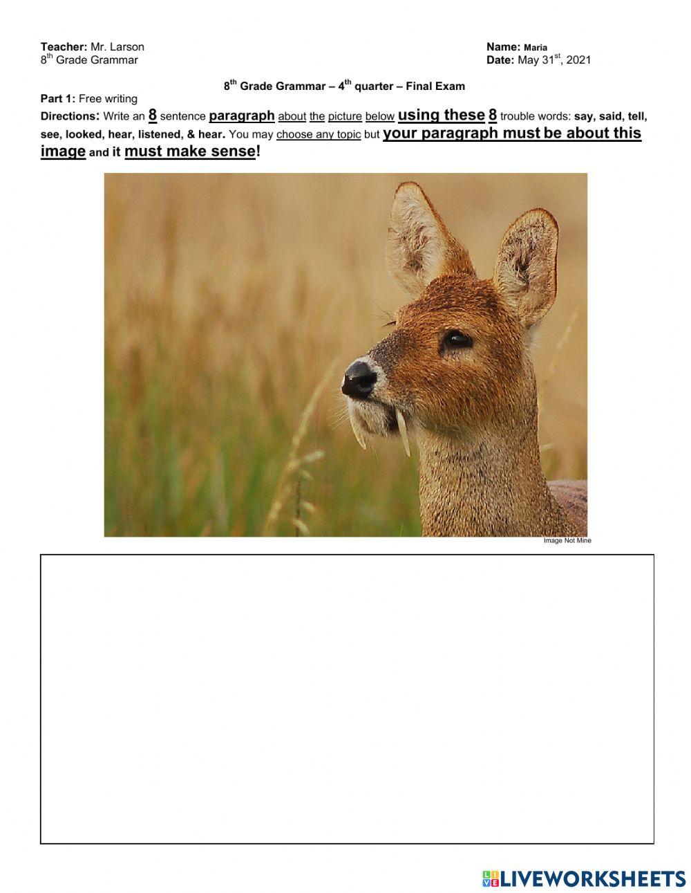 8th Grade Grammar Final exercise for 8 | Live Worksheets