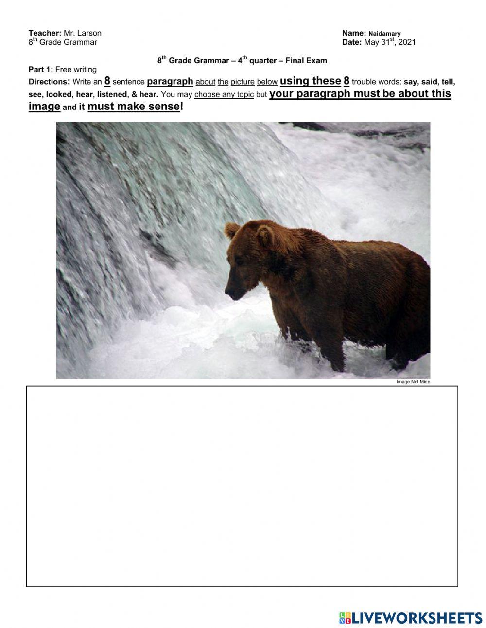 8th Grade Grammar Final online activity for 8 | Live Worksheets