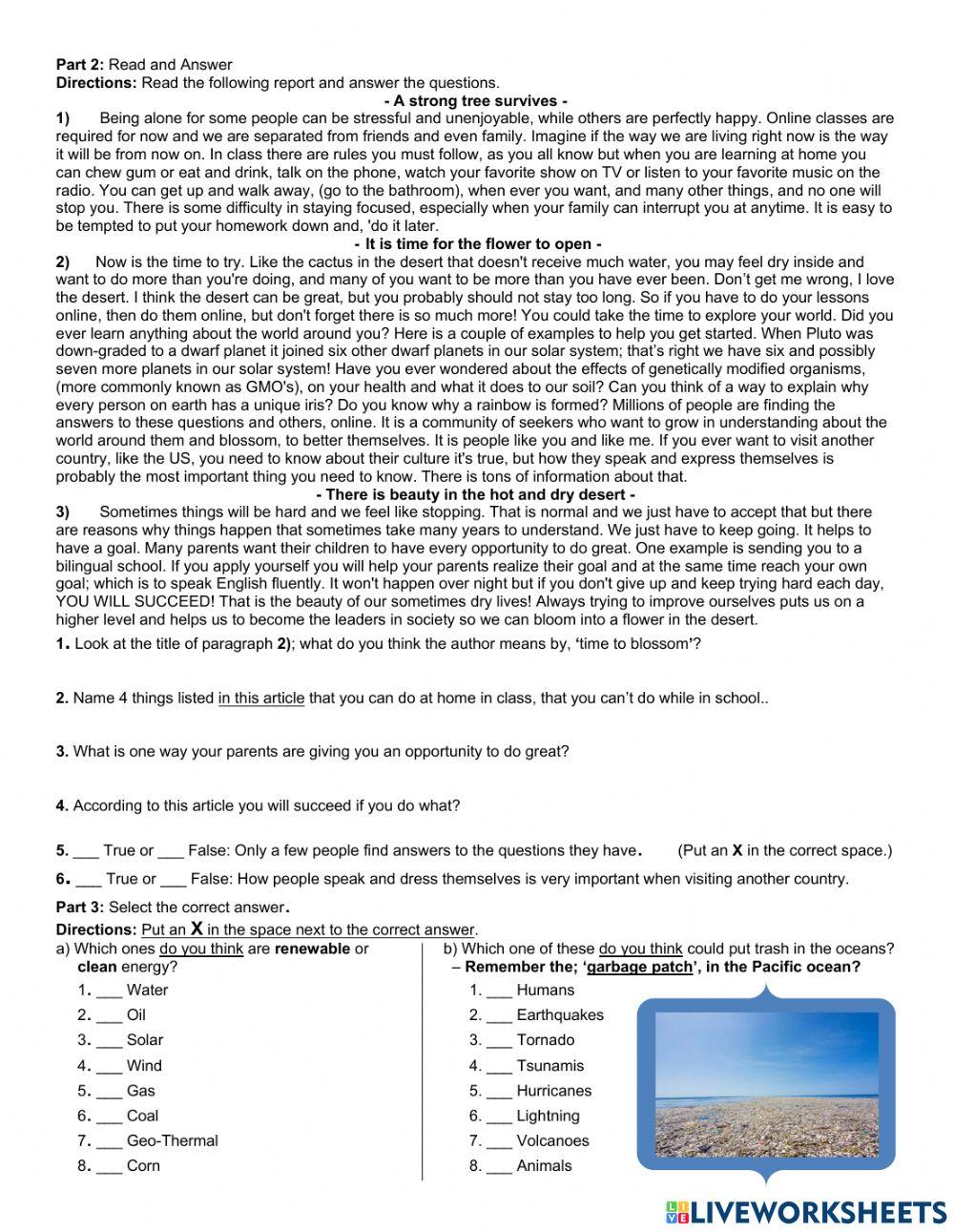 8th Grade Grammar Final online activity for 8 | Live Worksheets