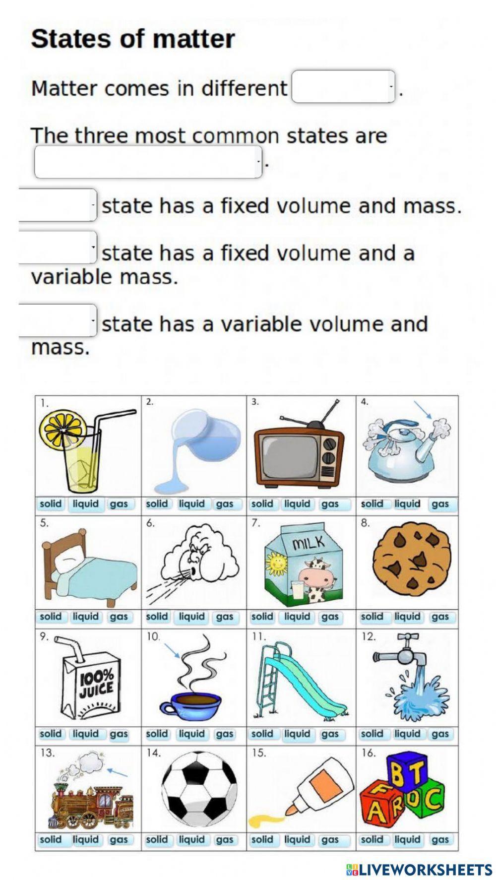 Test Nat Science P6 worksheet | Live Worksheets