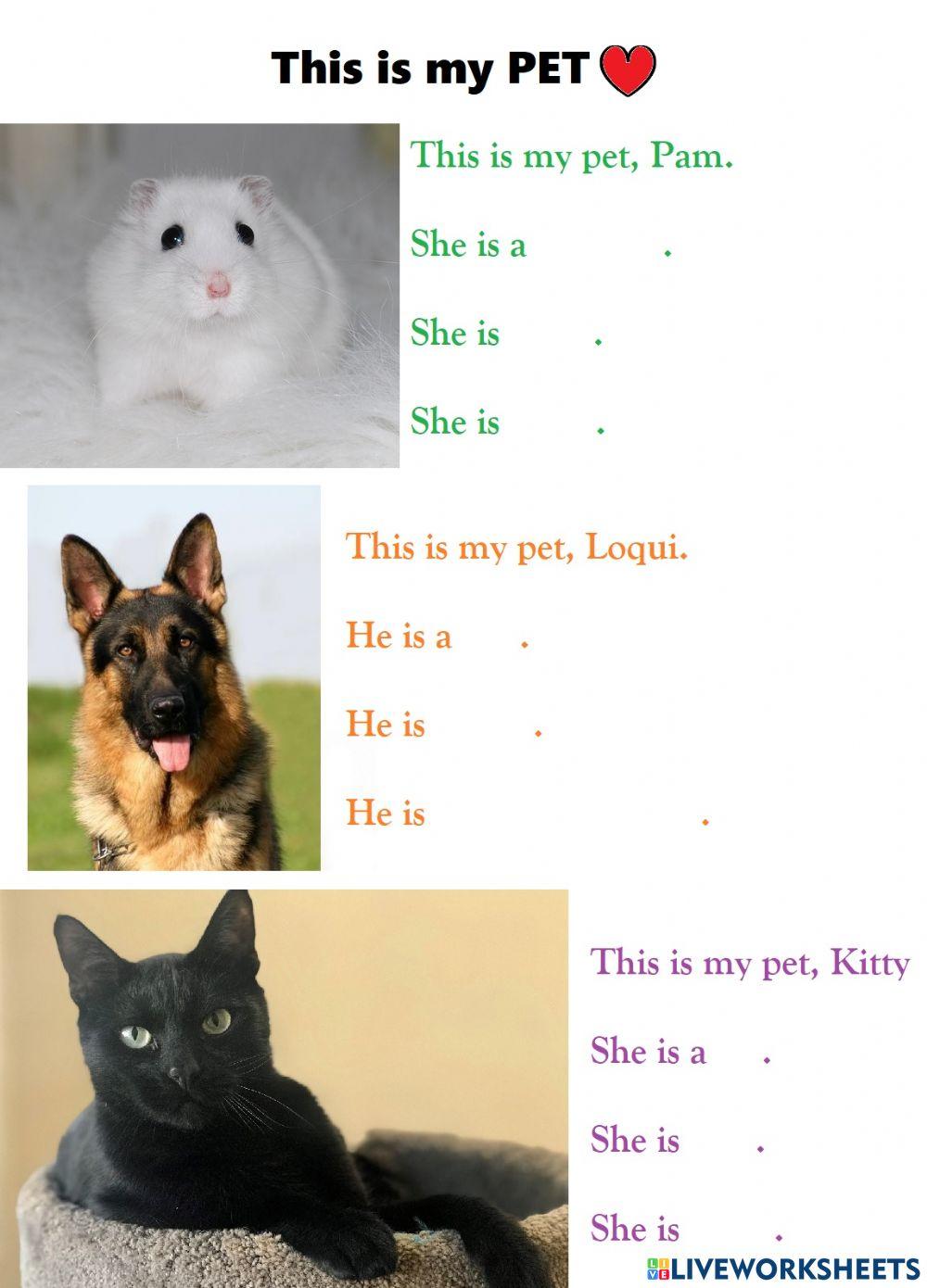 My pet | Free Interactive Worksheets | 1048641