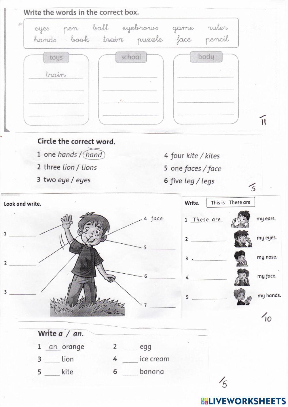 ESCALERA ENGLISH GRADE 1 FINAL EXAM online exercise for | Live Worksheets