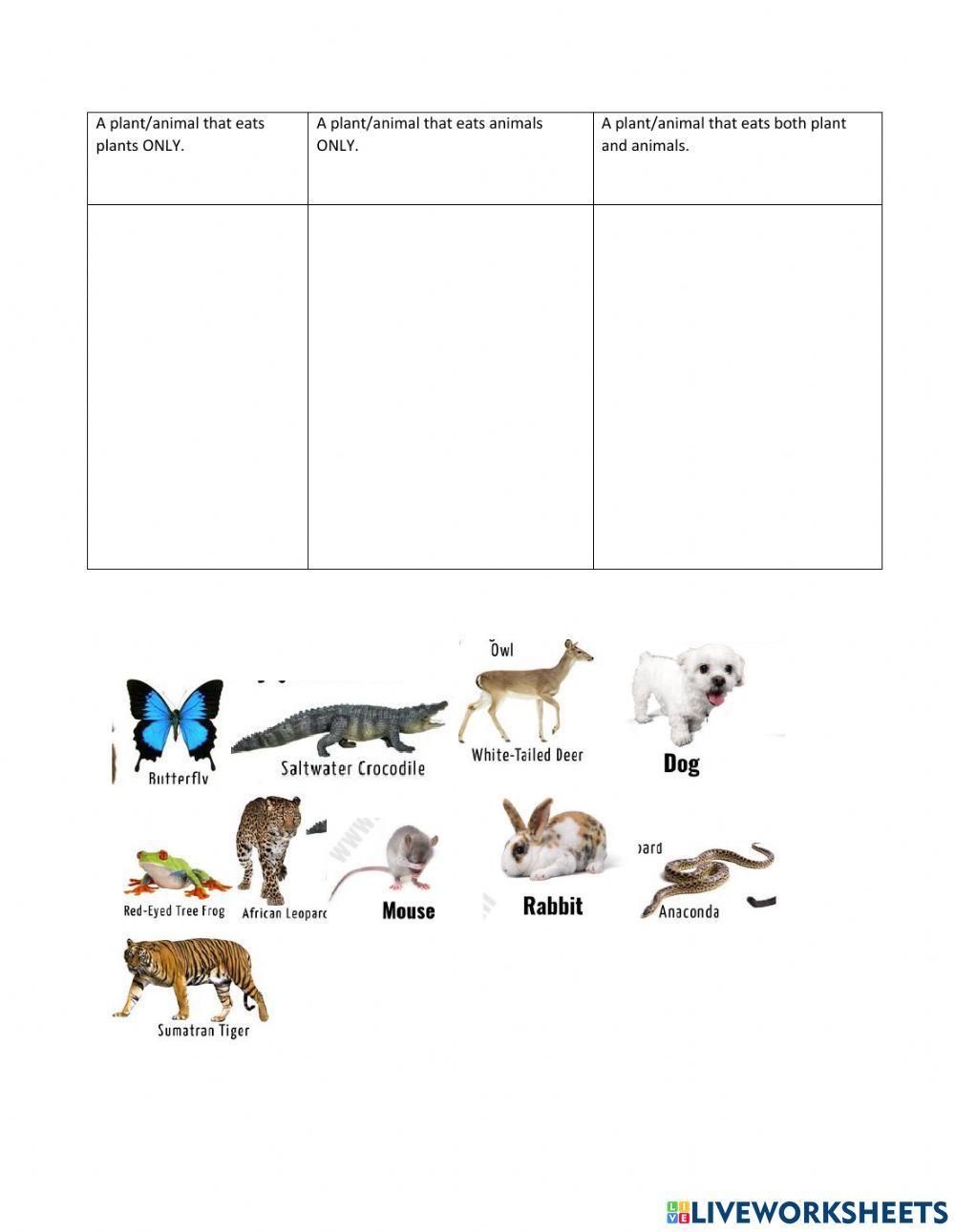 Feeding relatio… | Free Interactive Worksheets | 970744