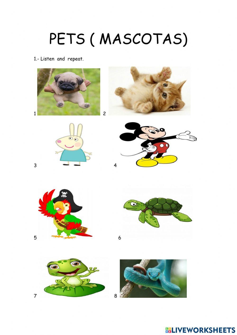 Pets online exercise for grade 1 | Live Worksheets
