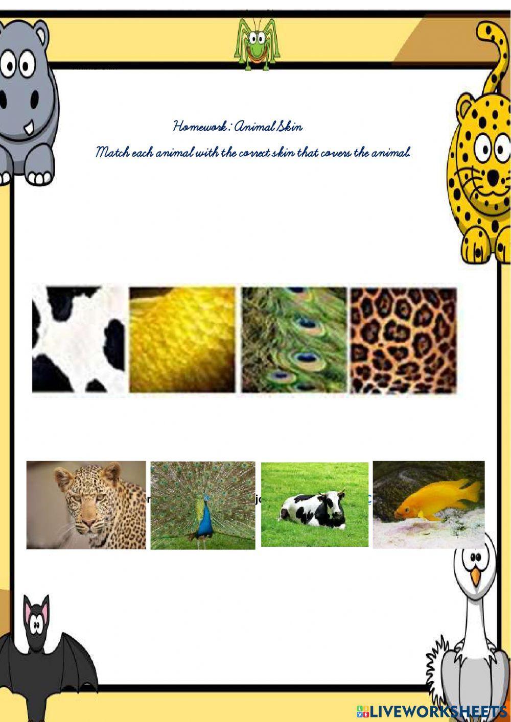 Animal Skins | Free Interactive Worksheets | 972708