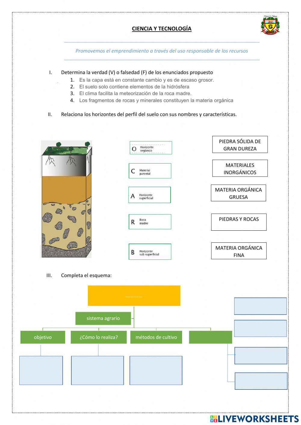 El Suelo Online Pdf Activity Live Worksheets