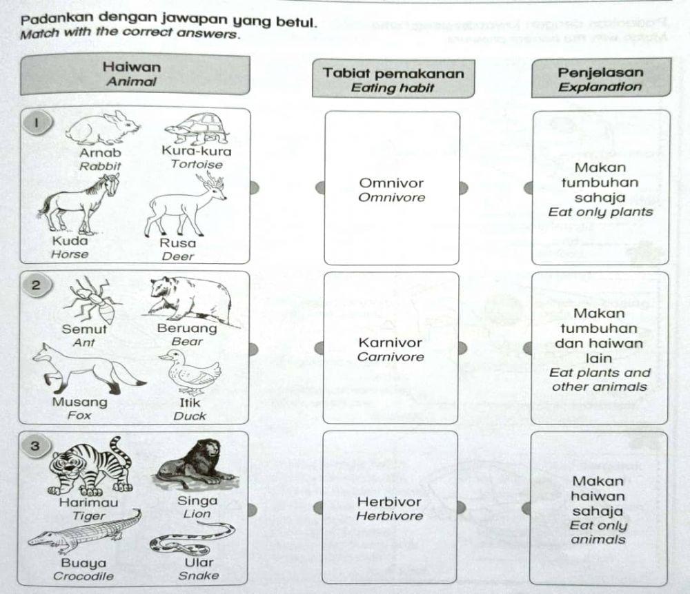 Tabiat pemakanan haiwan activity | Live Worksheets