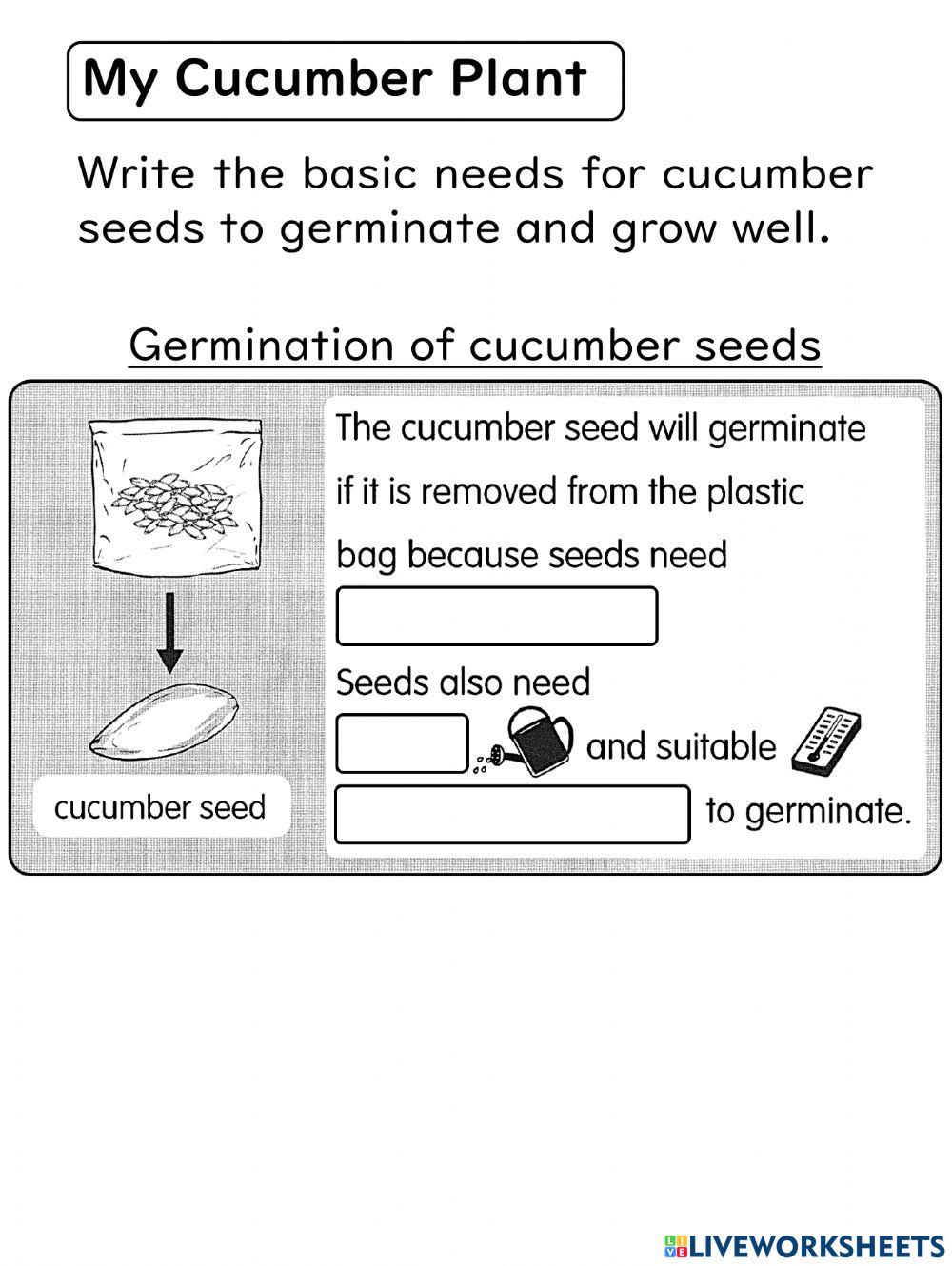 Science Year 2 PdPRW15 Wednesday 5th May 2021 worksheet | Live Worksheets