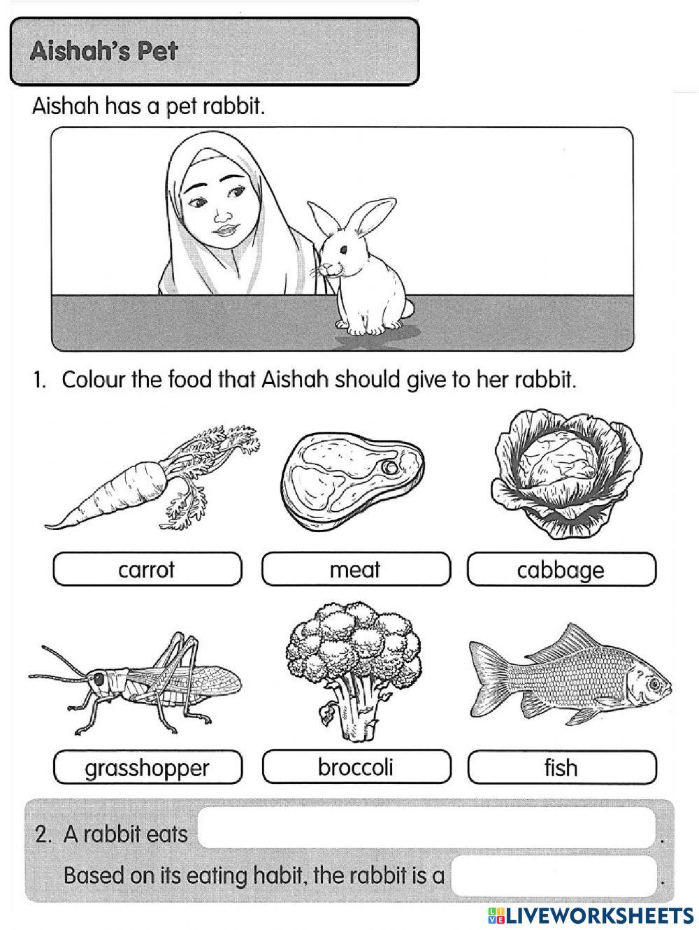 Science Year 3 … | Free Interactive Worksheets | 974452