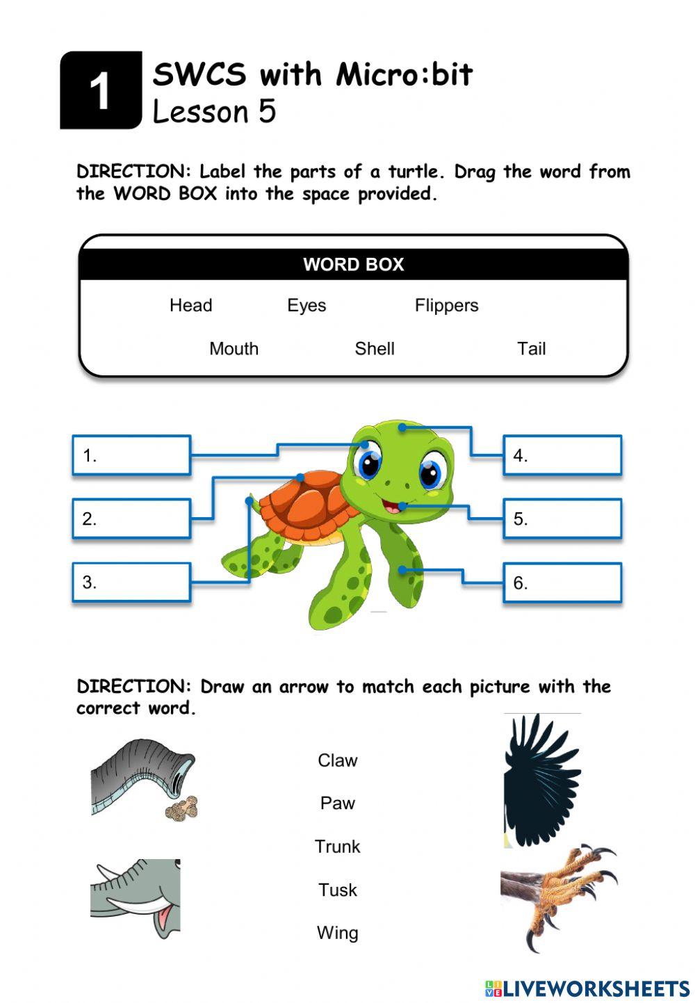 SWCS with Microbit 1 - Lesson 5 worksheet | Live Worksheets