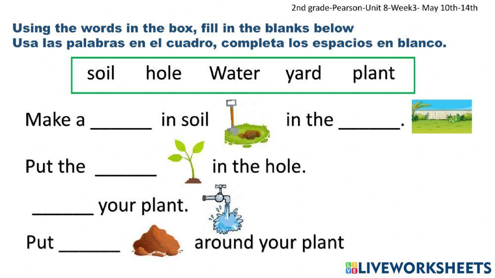 Plant in the yard worksheet | Live Worksheets