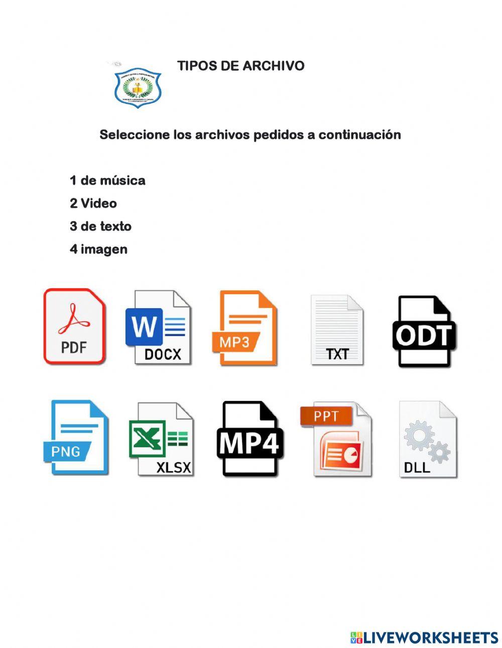 Tipos de archivo worksheet | Live Worksheets