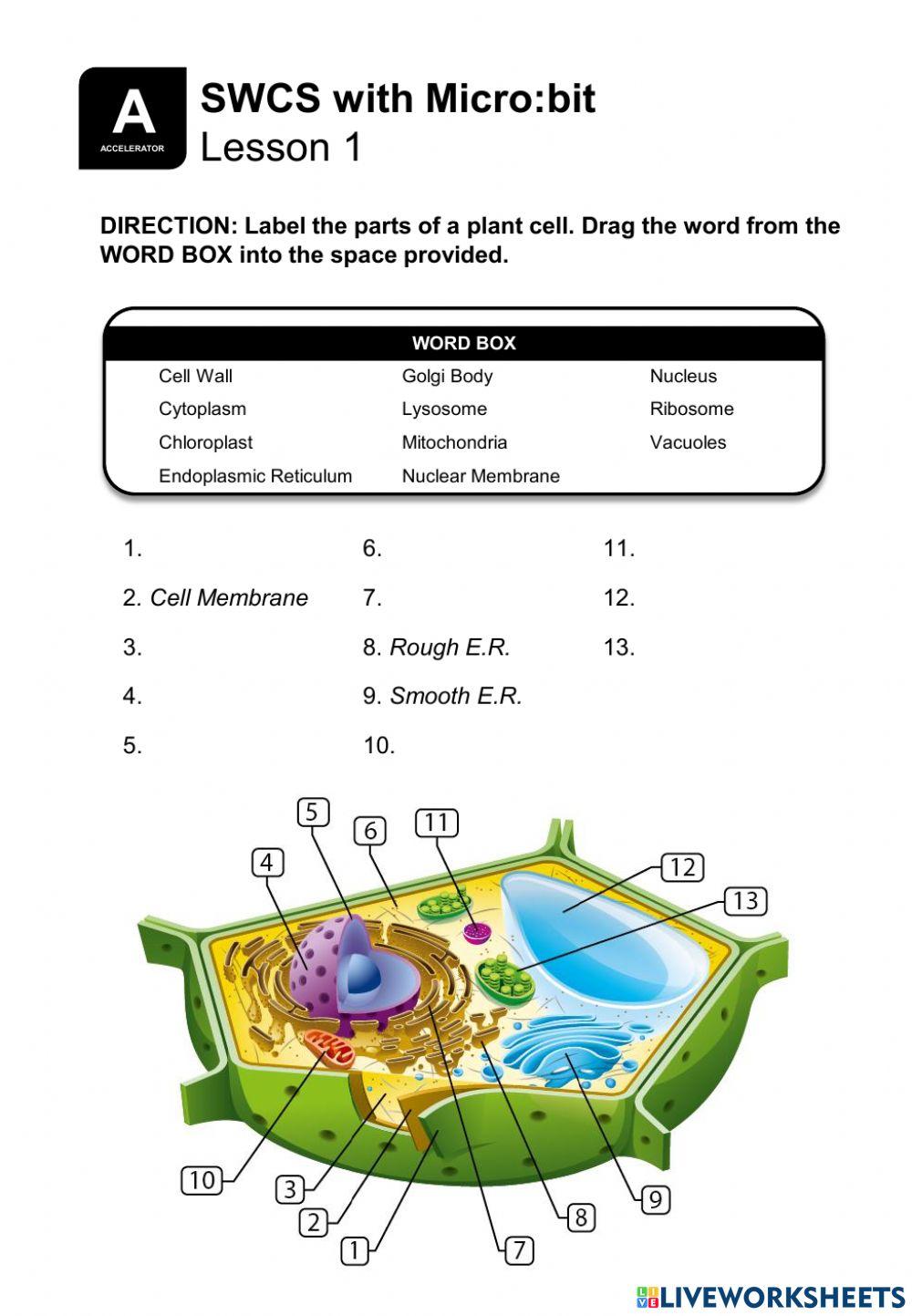 SWCS with Microbit Accelerator - Lesson 1