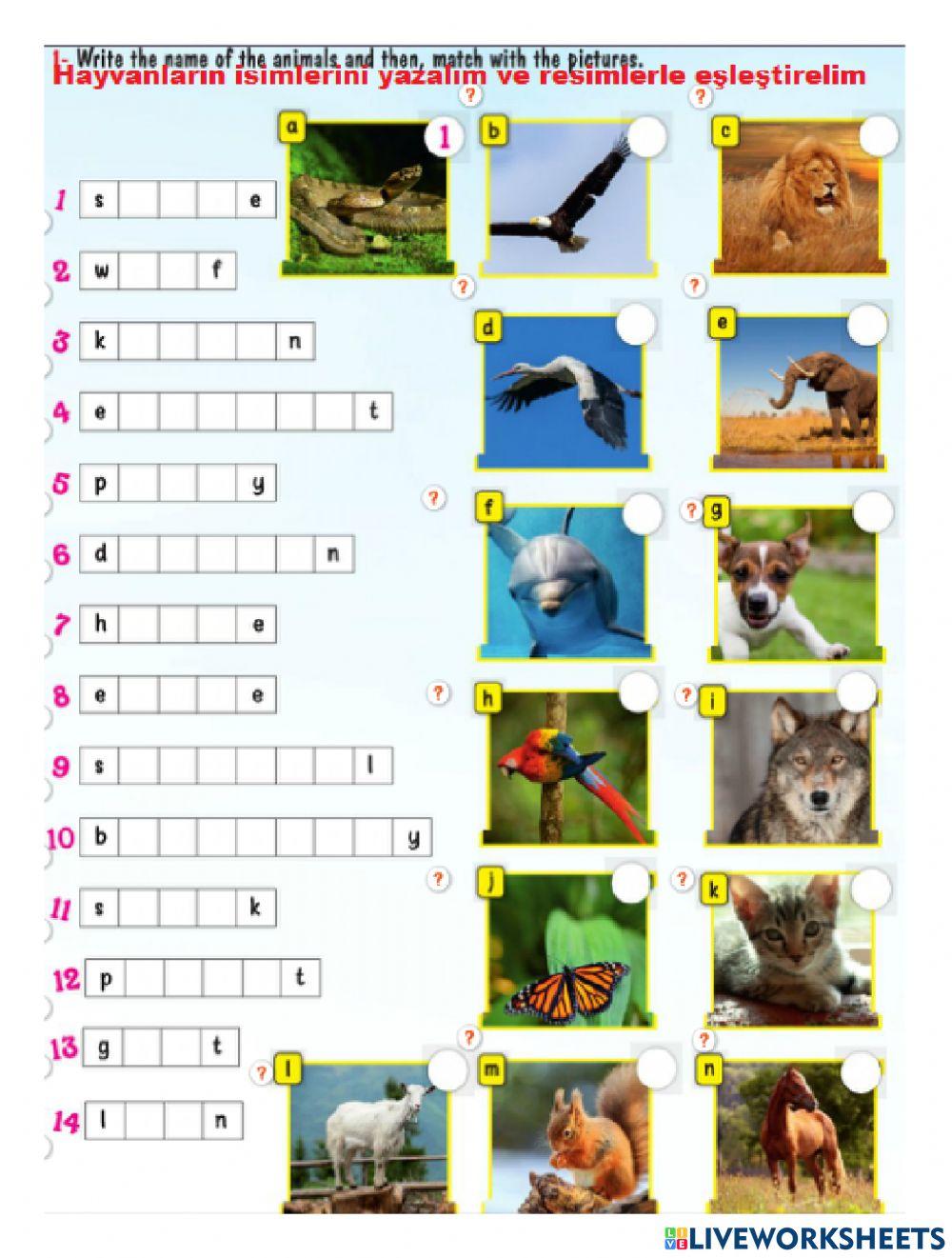 7TH MAY THE ANIMAL SHELTER HOMEWORK online exercise for | Live Worksheets