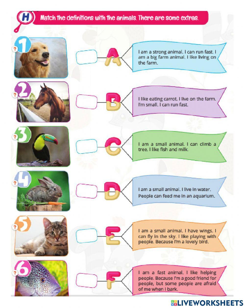 7TH MAY THE ANIMAL SHELTER HOMEWORK online exercise for | Live Worksheets