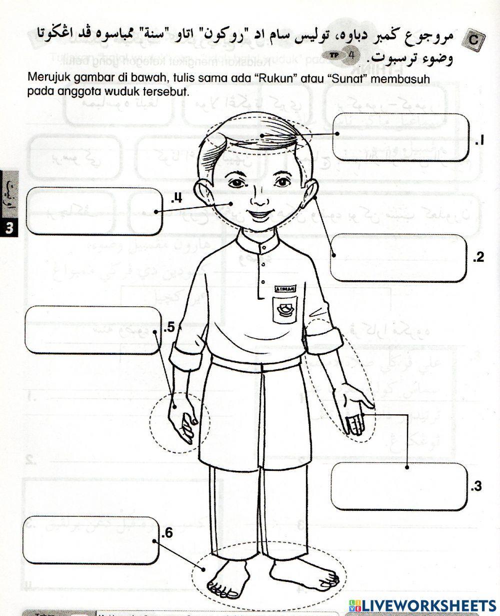 Anggota wudhu' interactive worksheet | Live Worksheets