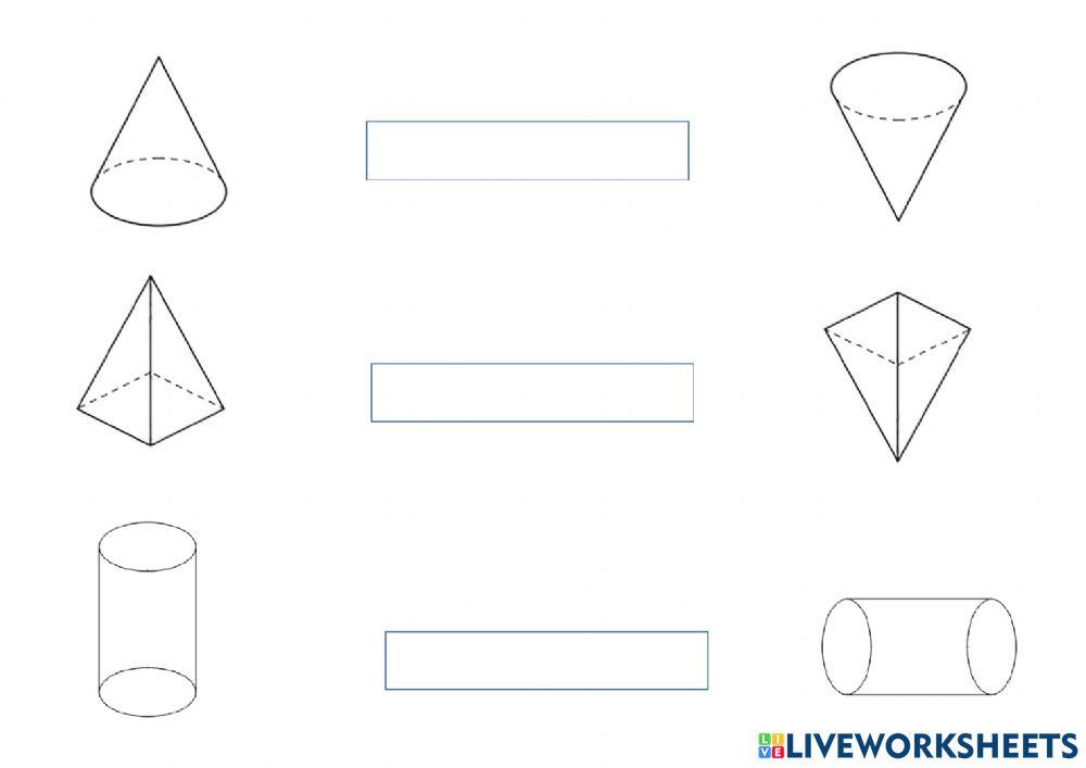 I solidi principali worksheet | Live Worksheets