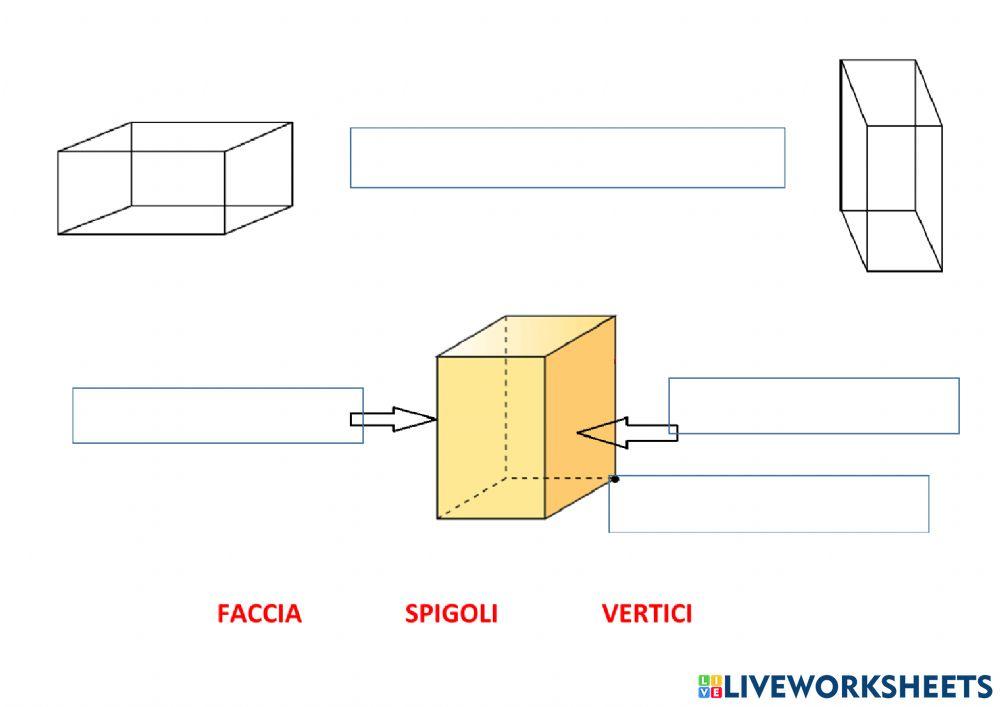 I solidi principali worksheet | Live Worksheets