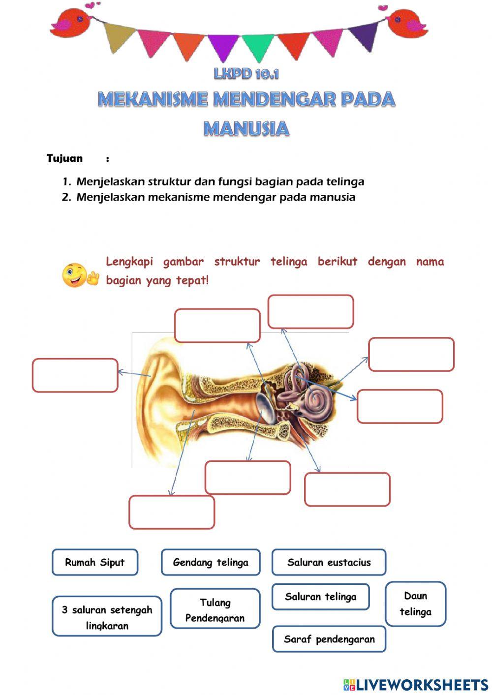 LK 10 Proses Mendengar 983291 | Mayasinta