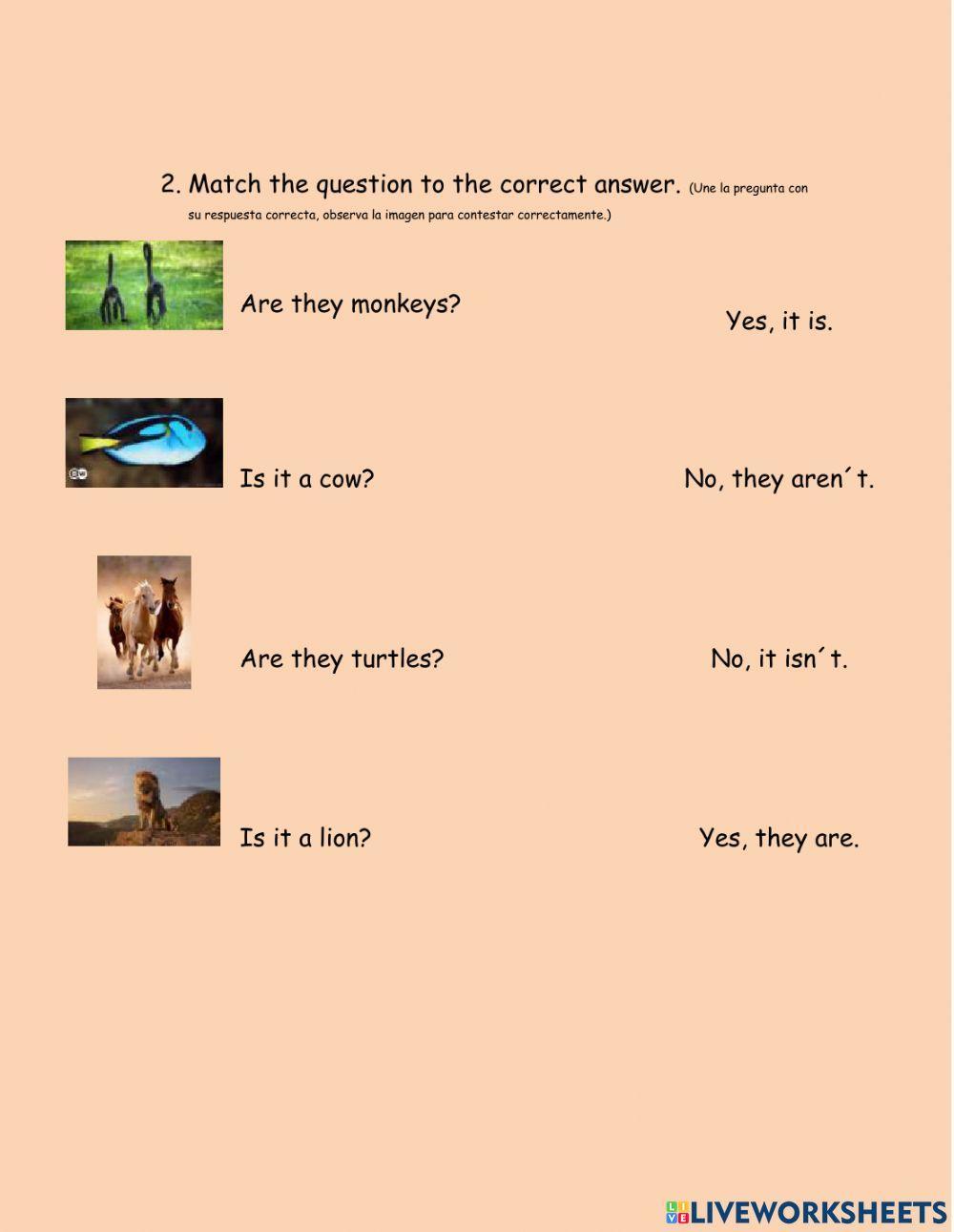 Animals-Present Simple Short Answer Questions