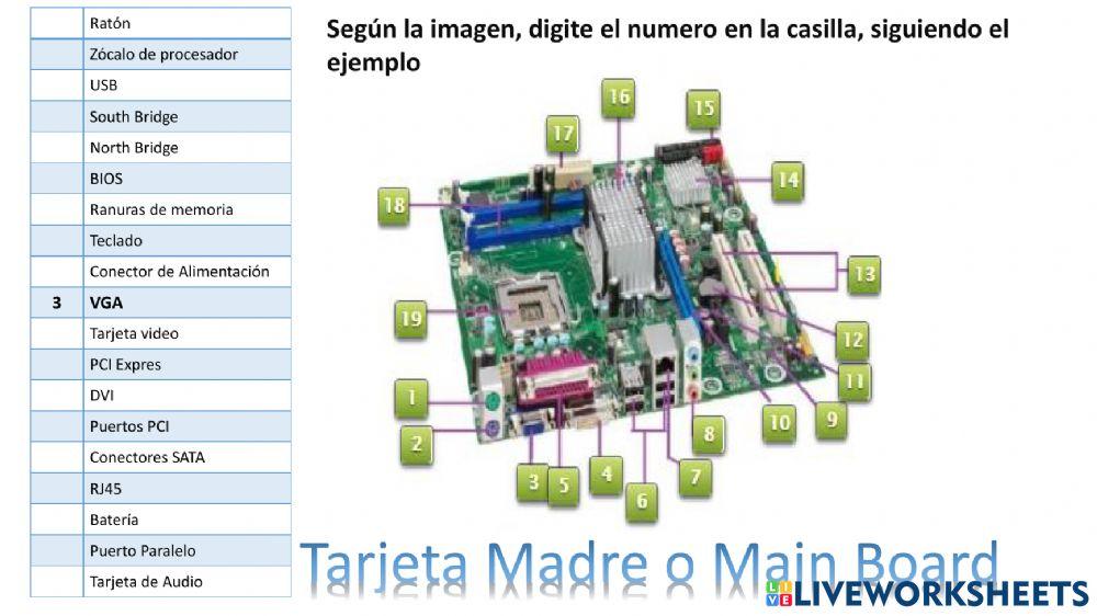 Elementos internos del pc worksheet | Live Worksheets