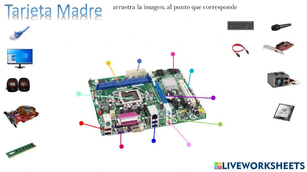 Elementos internos del pc interactive worksheet | Live Worksheets