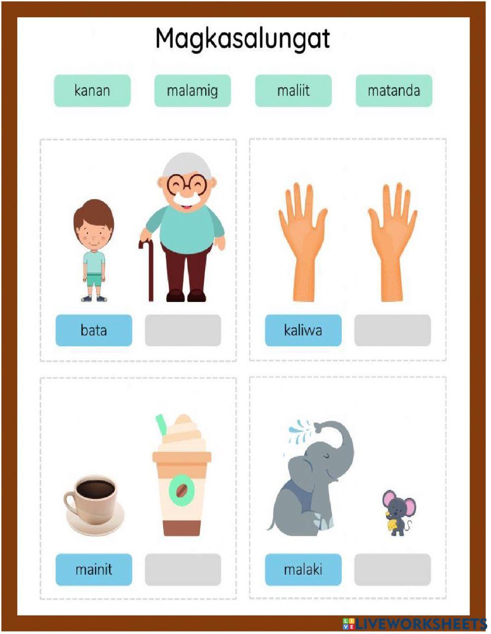 Magkasalungat Interactive Worksheet Live Worksheets