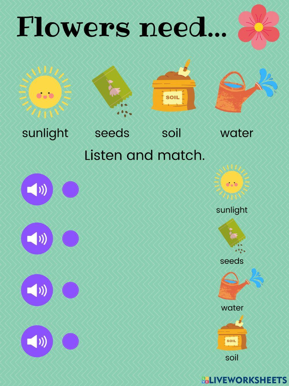 Flowers need | Free Interactive Worksheets | 1050333