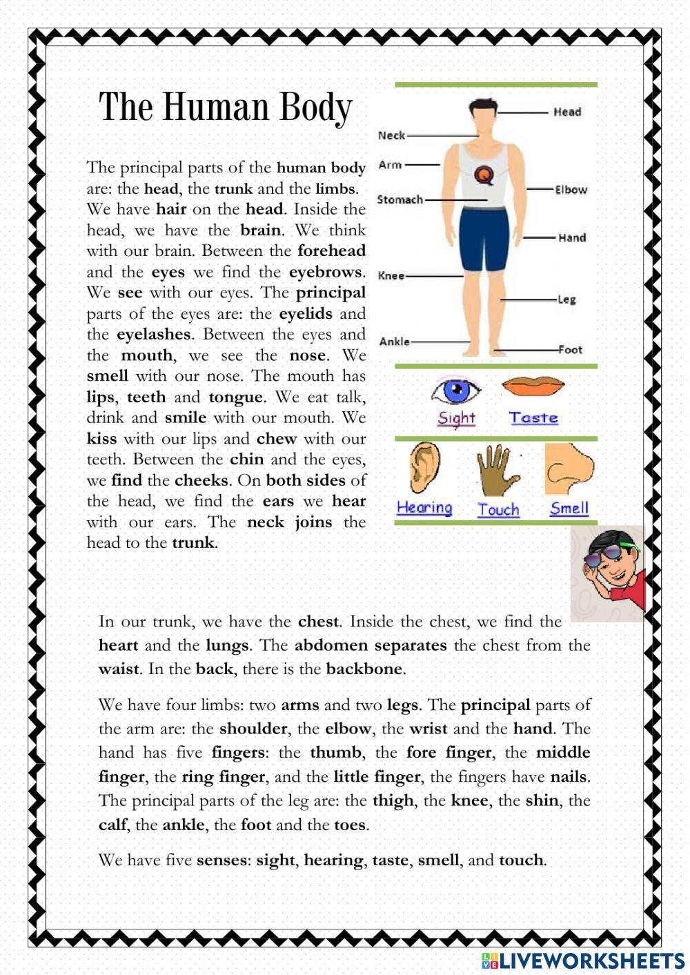Reading About The Human Body Worksheet Live Worksheets reading-about-the-human-body-worksheet-live-worksheets