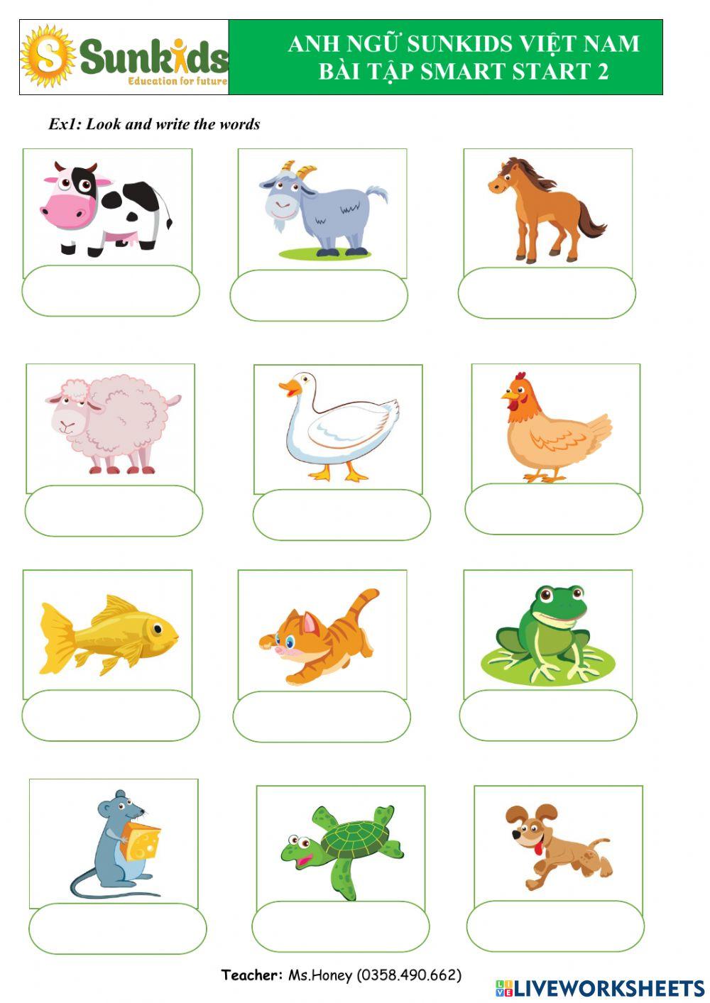 Animals online exercise for grade 4 | Live Worksheets
