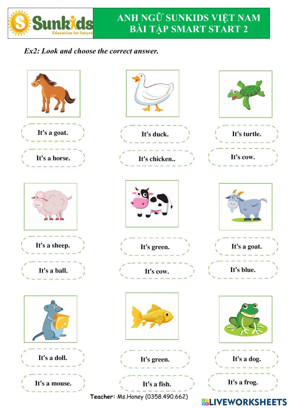 Animals online exercise for grade 4 | Live Worksheets