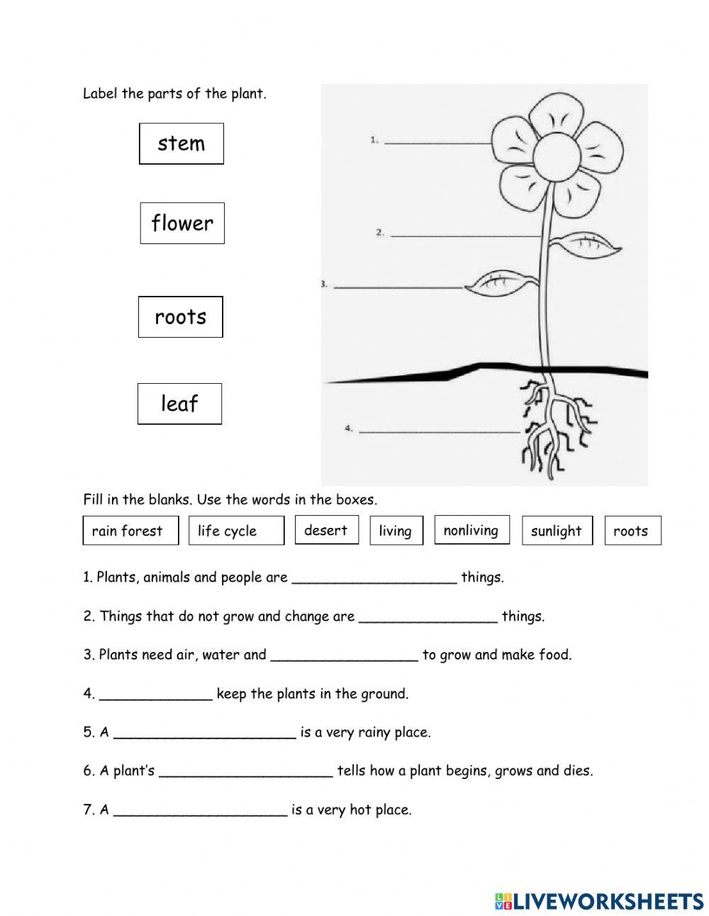Review of Ch 1 and 2 Science Grade 1 worksheet | Live Worksheets