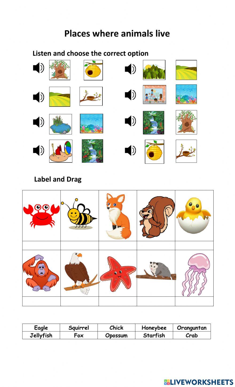 Animals online exercise for Grade 1 | Live Worksheets